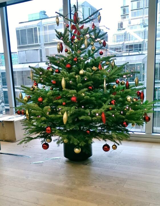 Christmas cheer... - Plants 4 Business - IPF Omnipex